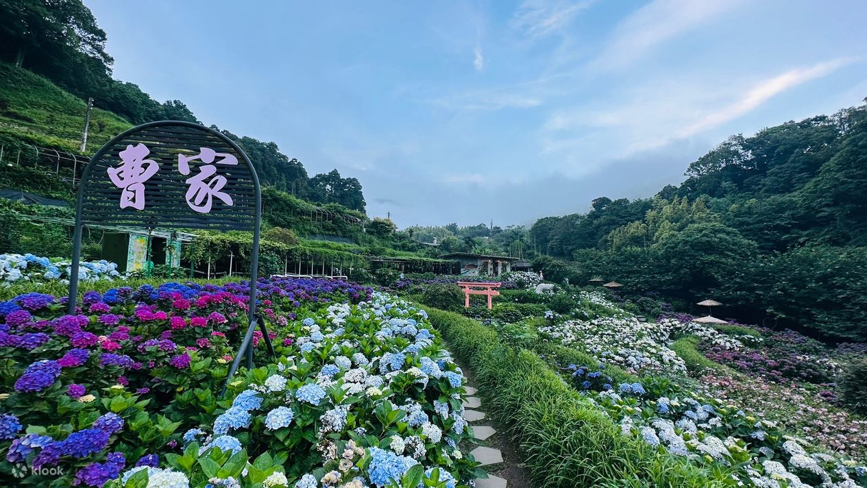 Taipei｜Caojia Flower Field｜Lily Day Experience｜Tickets - Klook