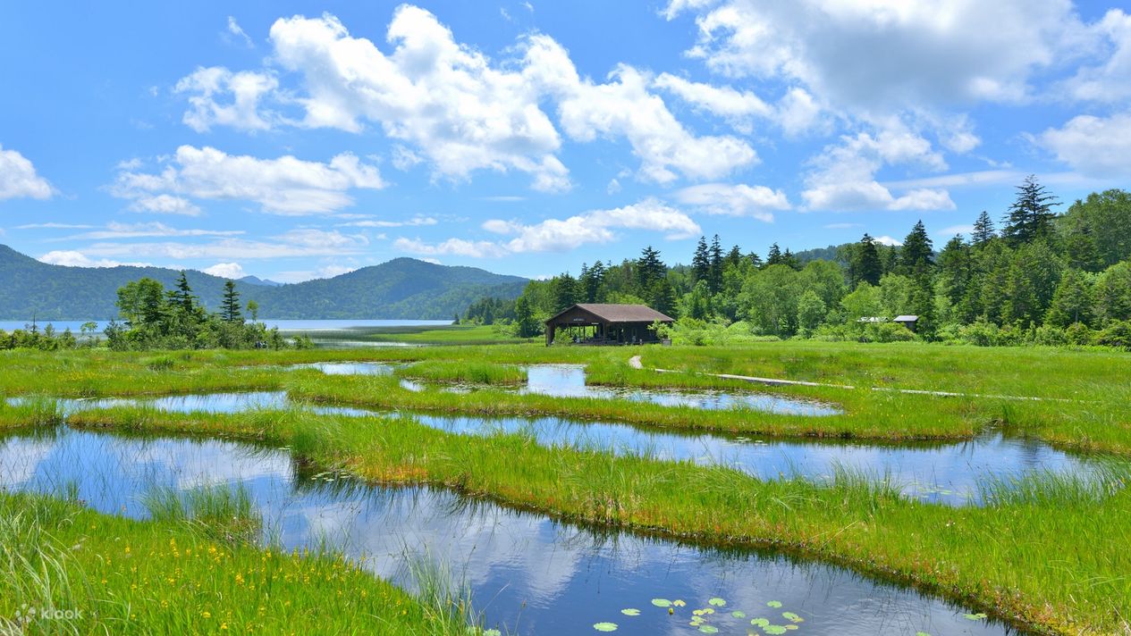 [Gunma Scenic Hiking Tour] Japan's Largest Plateau Wetland "Oze-no-hara ...
