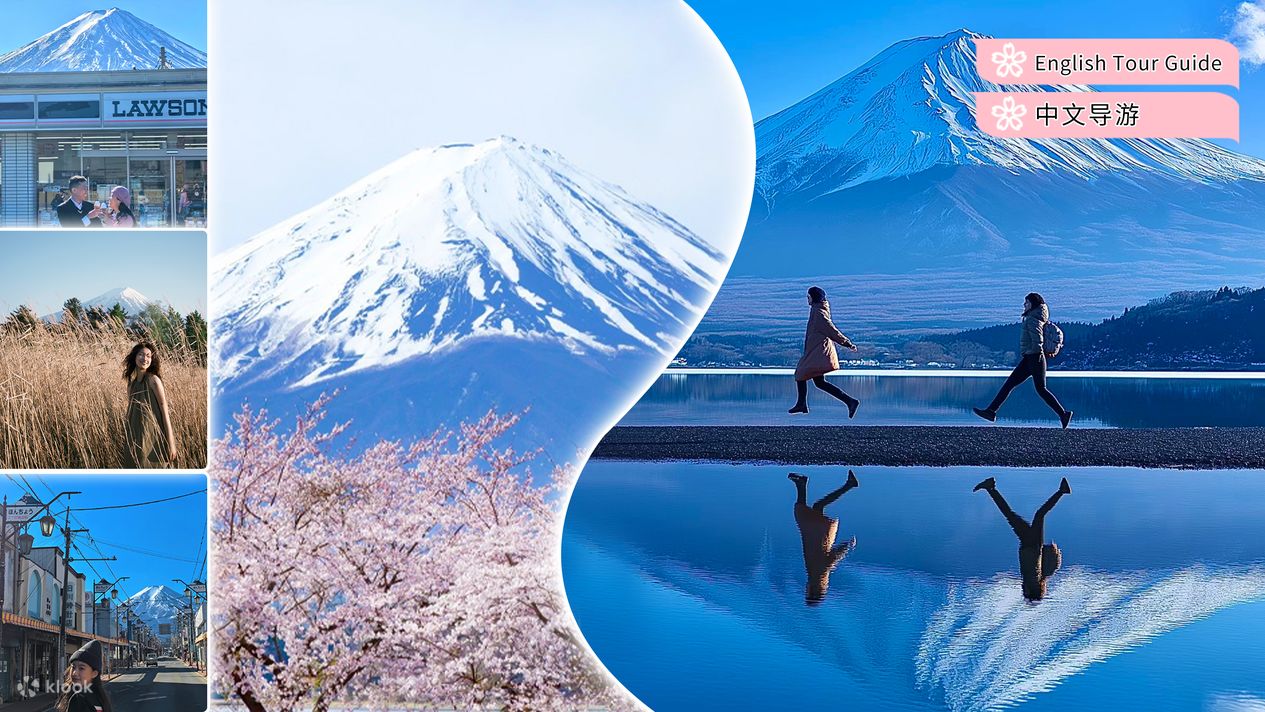 6 beautiful photos of Mount Fuji, a one-day tour, watching swans on the ...