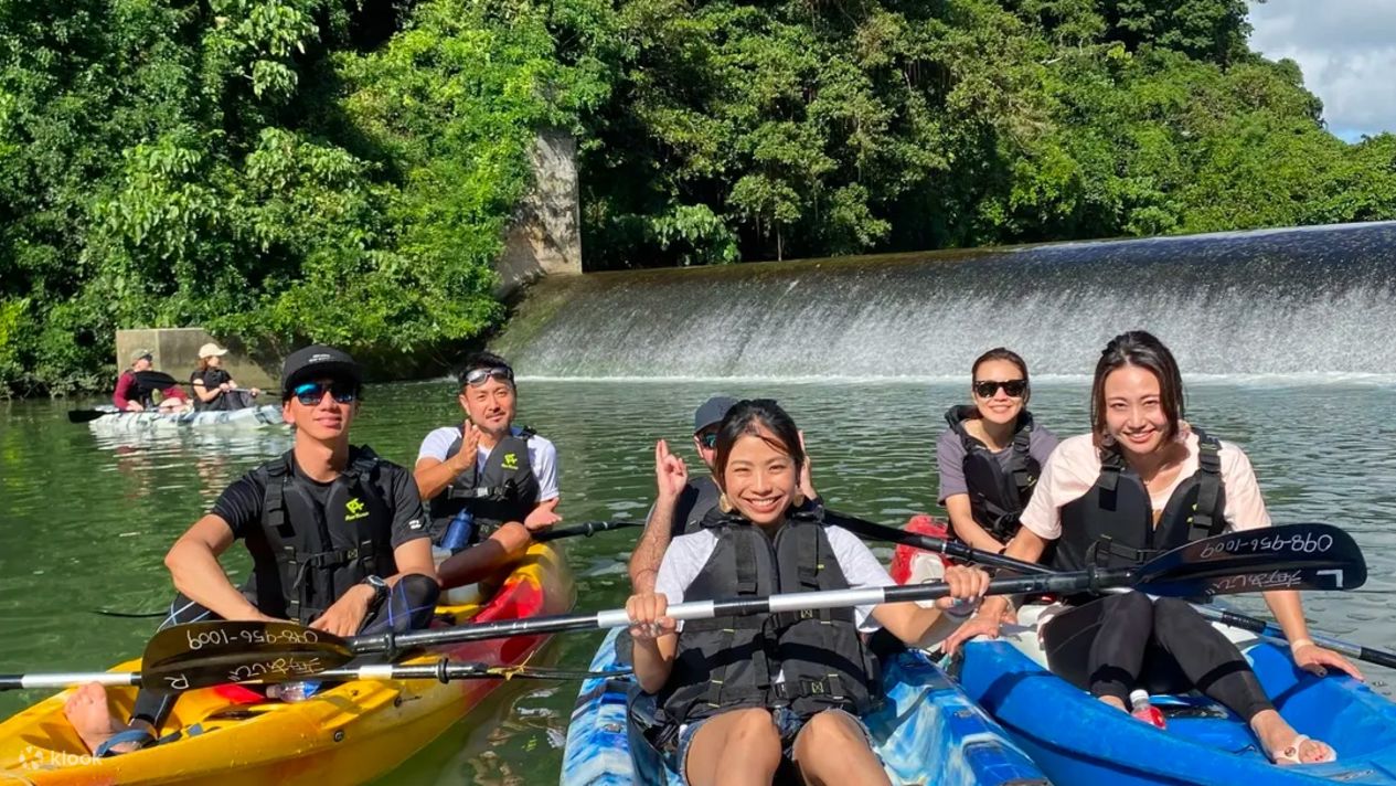 Mangrove Kayak tour in Okinawa - Klook