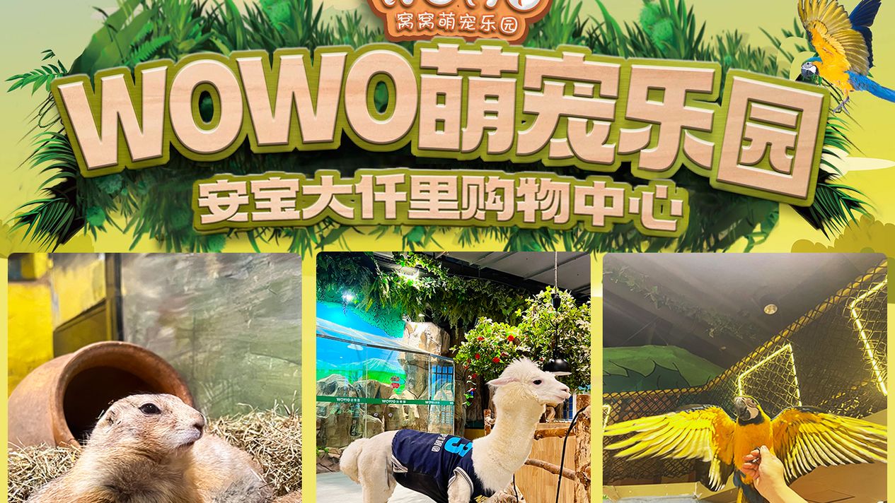 深圳WOWO窩窩萌寵樂園 (寶安大仟裏店) - Klook香港