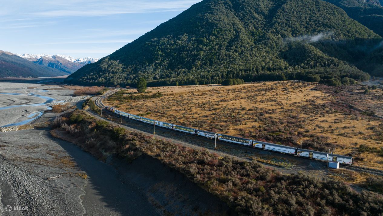 TranzAlpine Ticket between Christchurch and Greymouth - Klook Australia