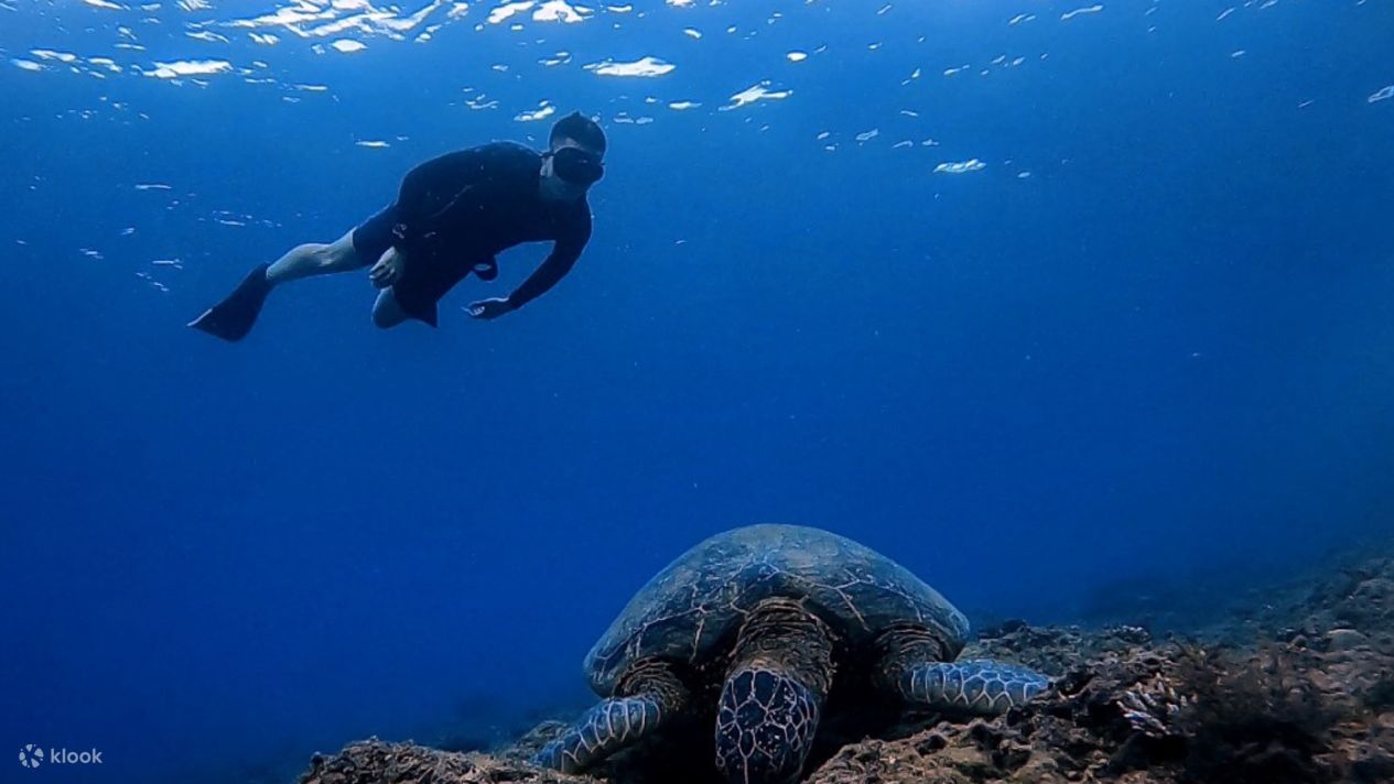 Xiaoliuqiu Douzhen Diving OW・AOW License・Free Diving License - Klook ...