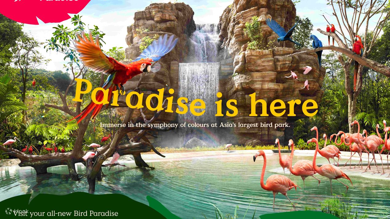 Bird Paradise Ticket | Mandai Wildlife Reserve, Singapore - Klook