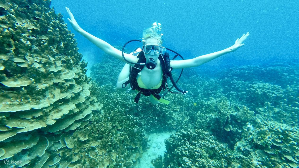 Experience Scuba Diving - Klook