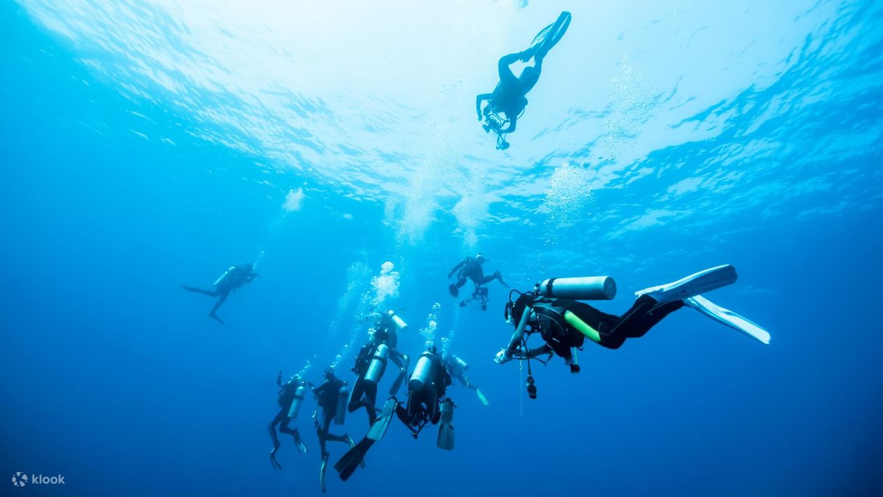 AOW Diver in Luzon with PADI 5 Star Dive Resort - Dive Amazing Dive ...