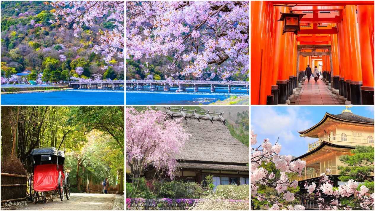 Visit the ancient capital of Kyoto｜One-day tour of Kinkakuji Temple ...