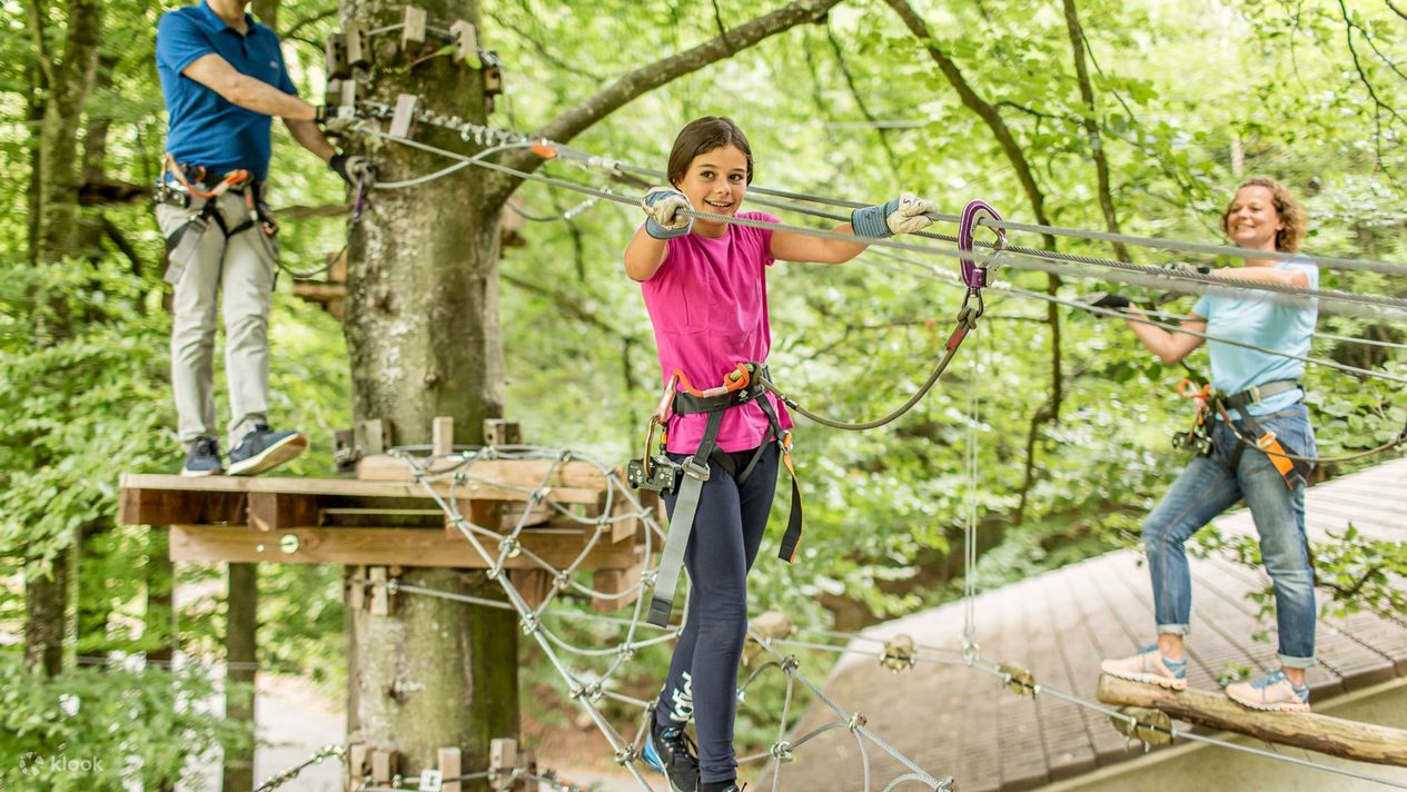 Interlaken Ropes Park Ticket - Klook Malaysia