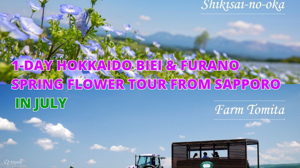 1-Day Hokkaido Biei & Furano Spring Flower Tour From Sapporo in July ...