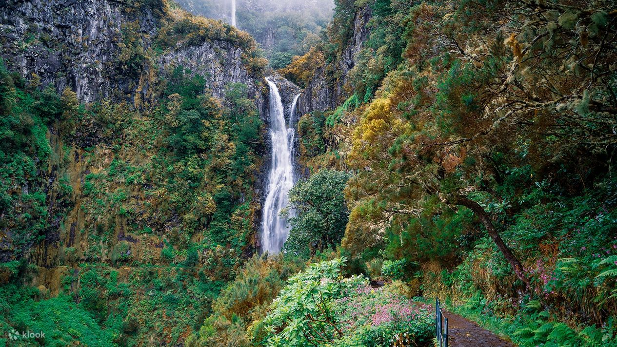 Rabacal Valley Walking Tour from Funchal - Klook