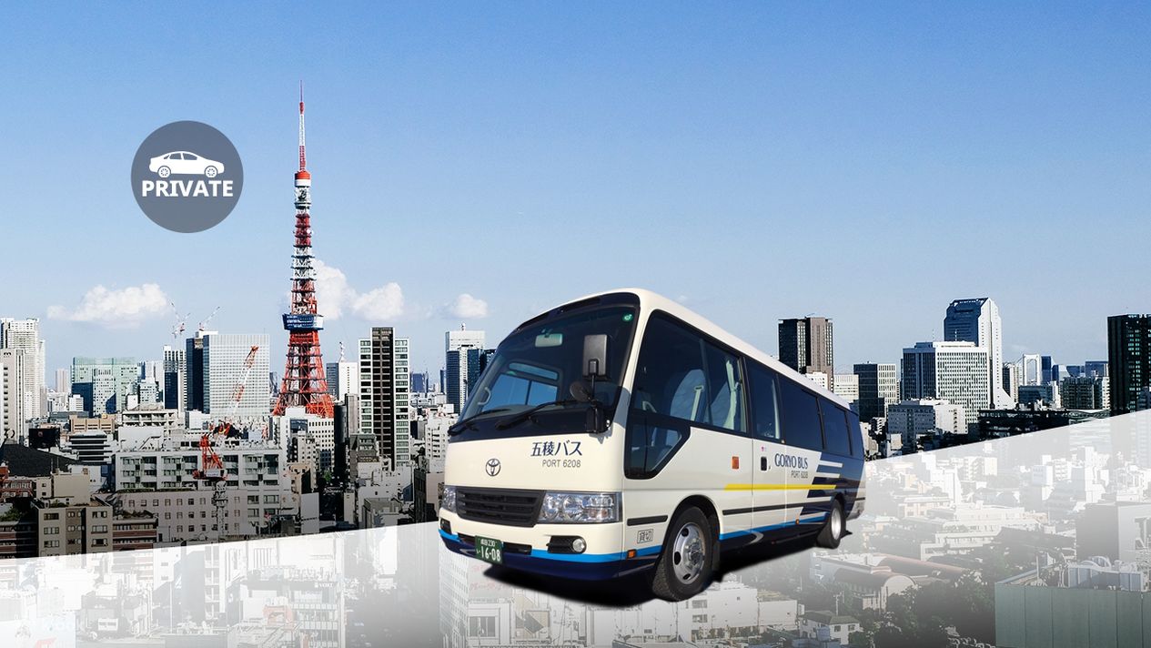 Private Haneda International Airport (NRT) Transfers for Tokyo, Hakone ...