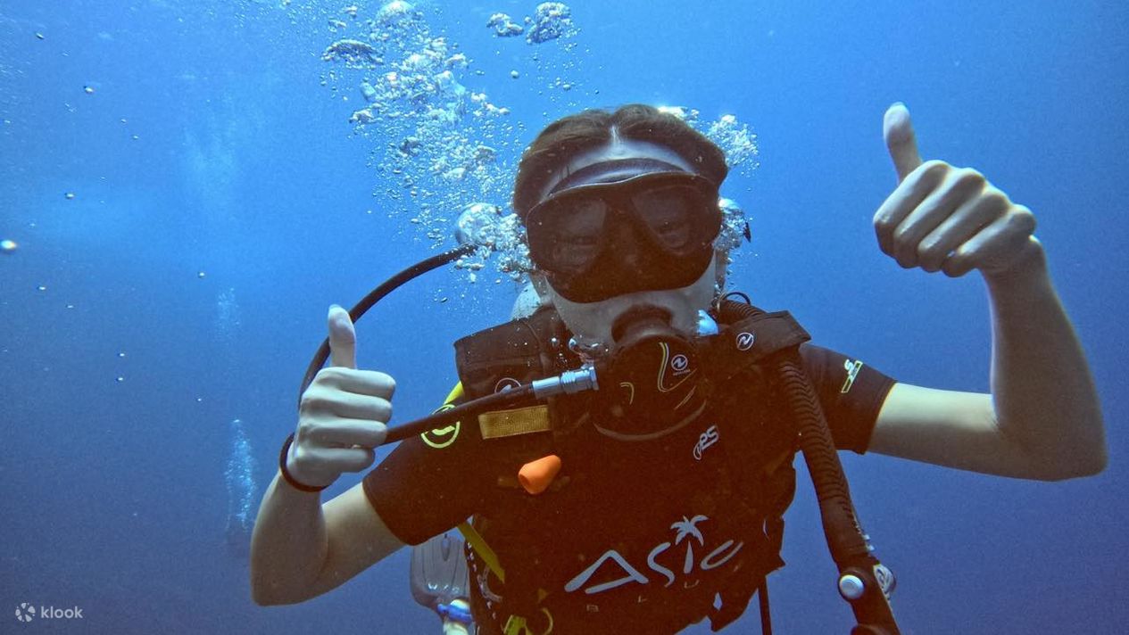 Explore the Depths with PADI Enriched Air Diver Course in Koh Phangan ...
