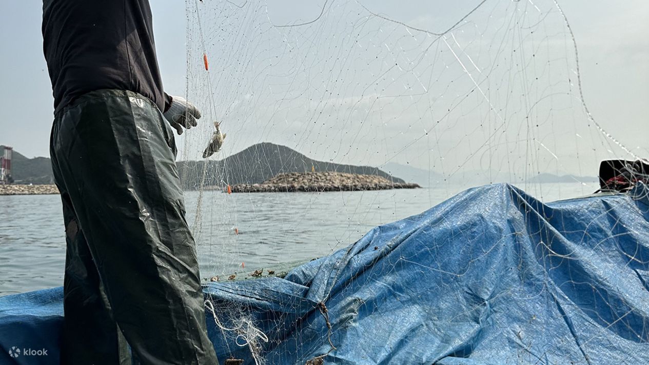 Immerse Yourself in Authentic Traditional Fishing Operations: Guided ...