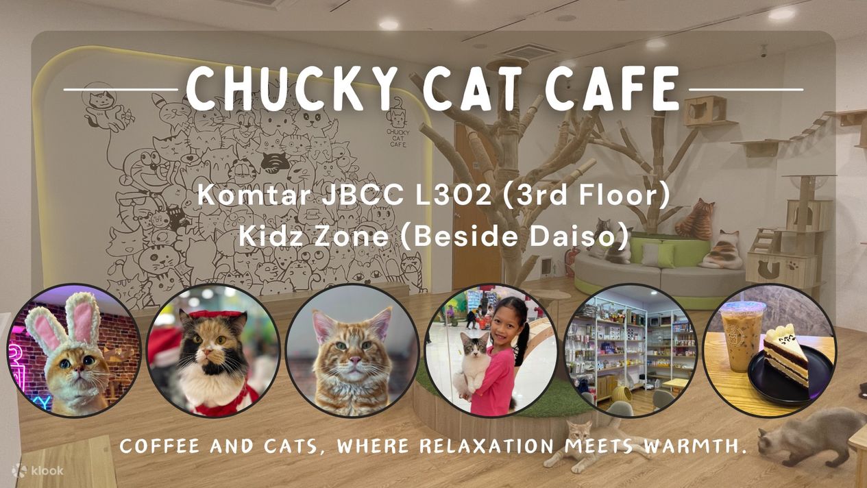 Chucky Cat Cafe in Johor Bahru, Malaysia - Klook Singapore
