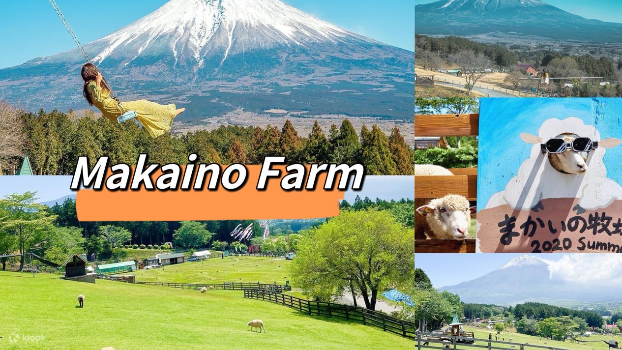 Mount Fuji Family-friendly One-Day Tour: Oishi Park, Lawson Convenience ...