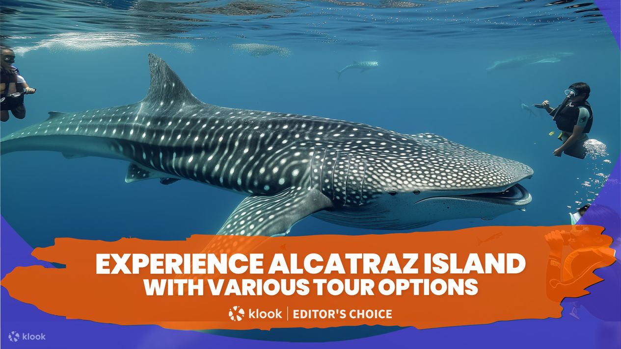 Oslob Whaleshark & Badian Canyoneering Tour in Cebu - Klook Australia