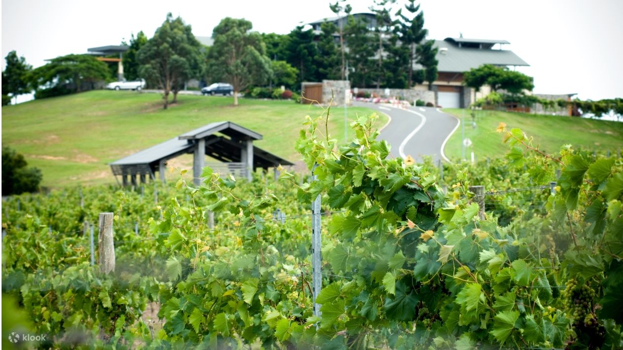 Sirromet 围场高级野餐 - Klook客路