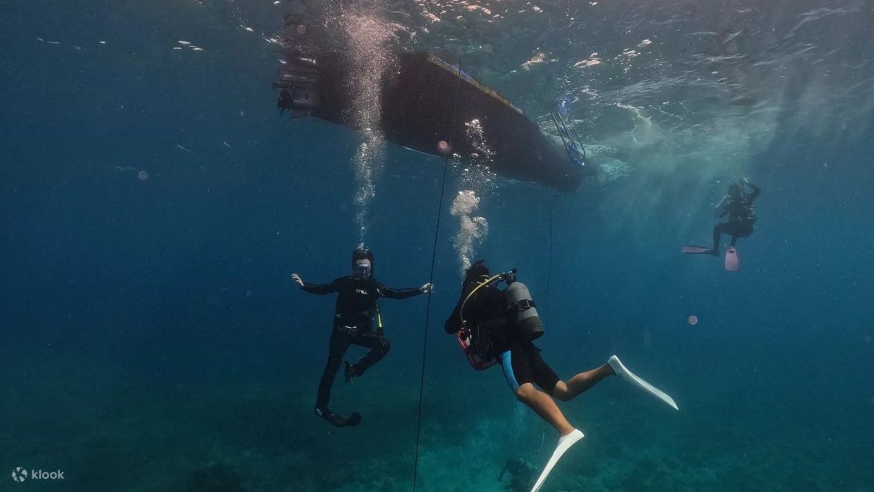 Beginner Scuba Diving with PADI in Ishigaki, Japan - Klook