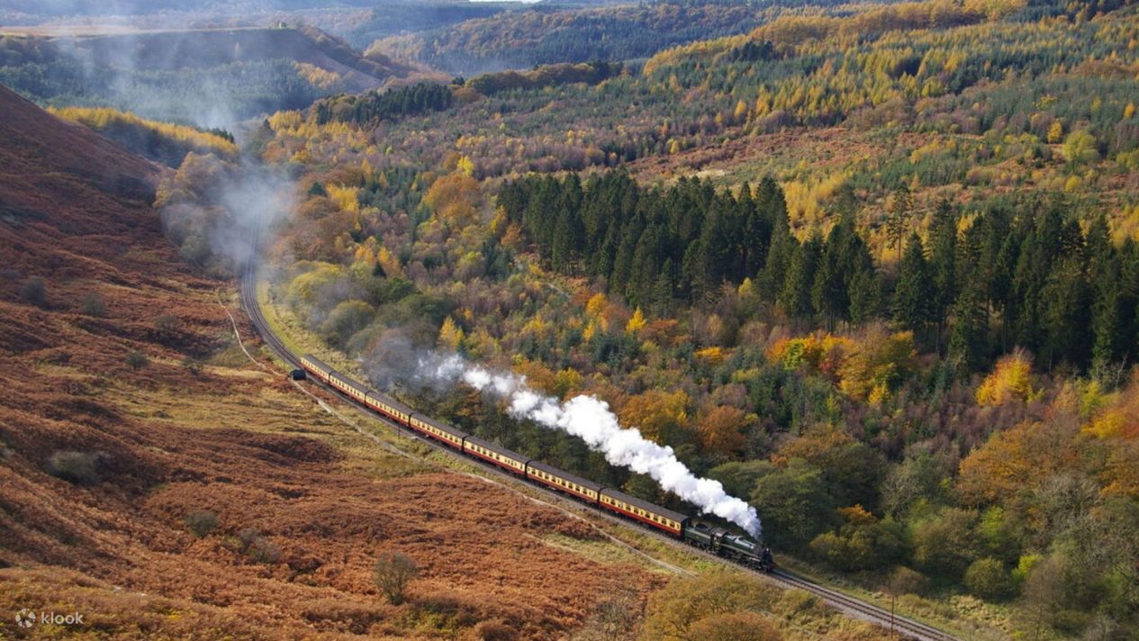 North York Moors, Byland Abbey & Helmsley full-day tour from London ...