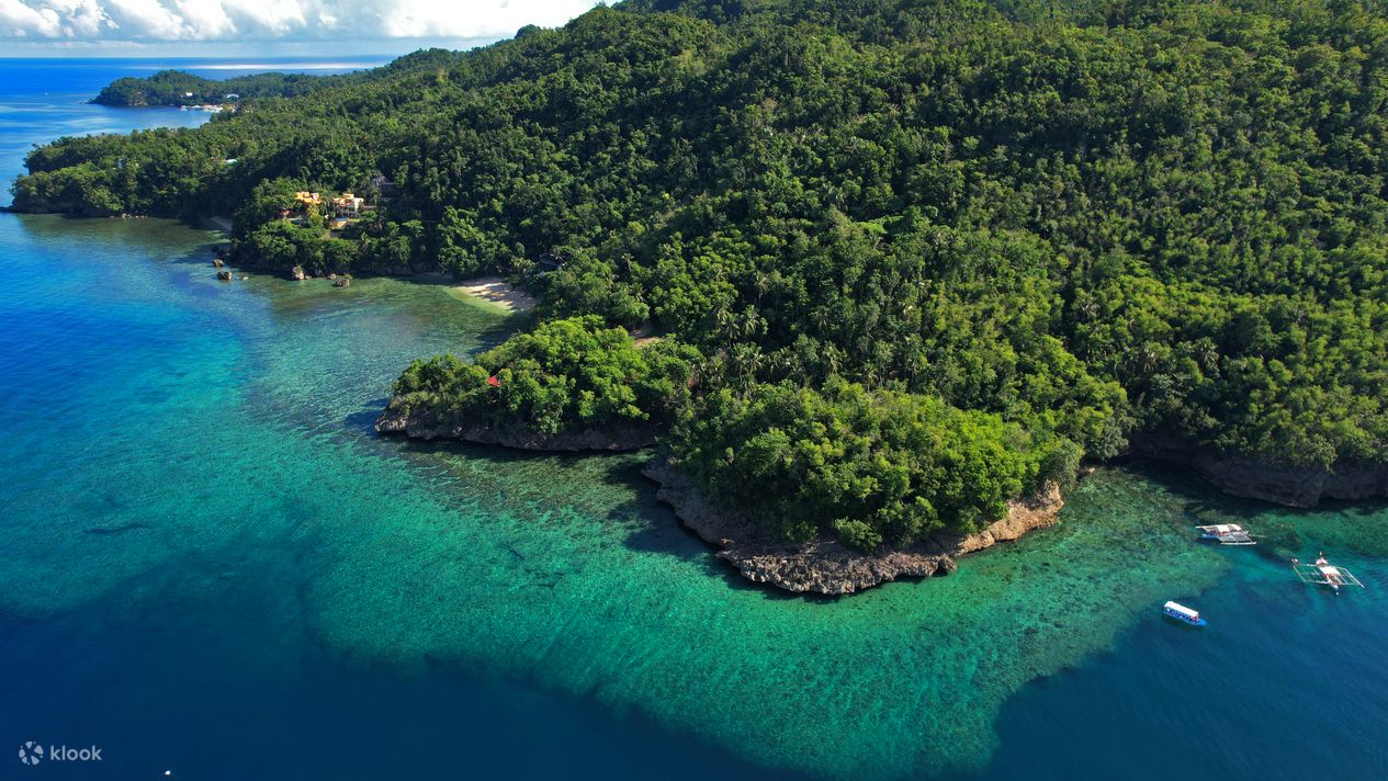 探索海洋奇观：与 PADI 五星级潜水度假村一起在 Sipalay 进行全日浮潜之旅 - Klook客路