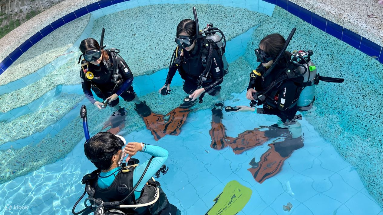바다 체험: PADI 5스타 IDC 리조트와 함께 보홀에서 PADI 디스커버 스쿠버 다이빙 - 클룩 Klook 한국