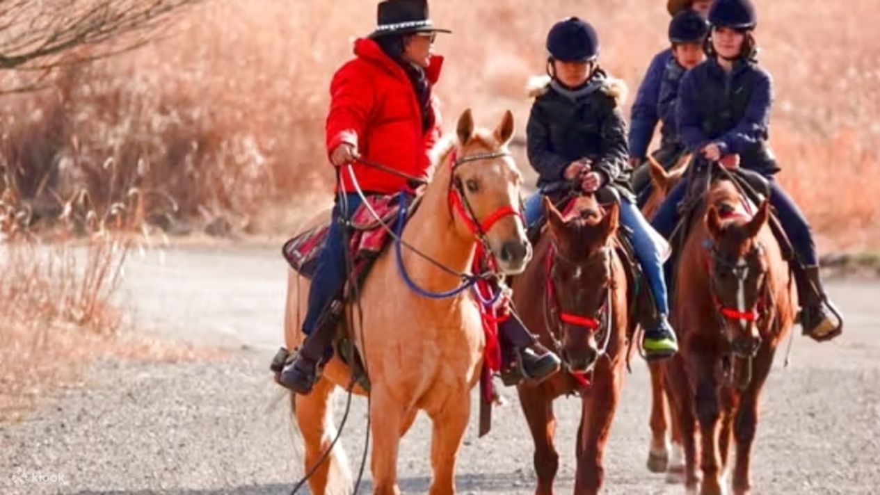 Virtus Riding Club Horseback Riding Experience in Gotemba - Klook Malaysia