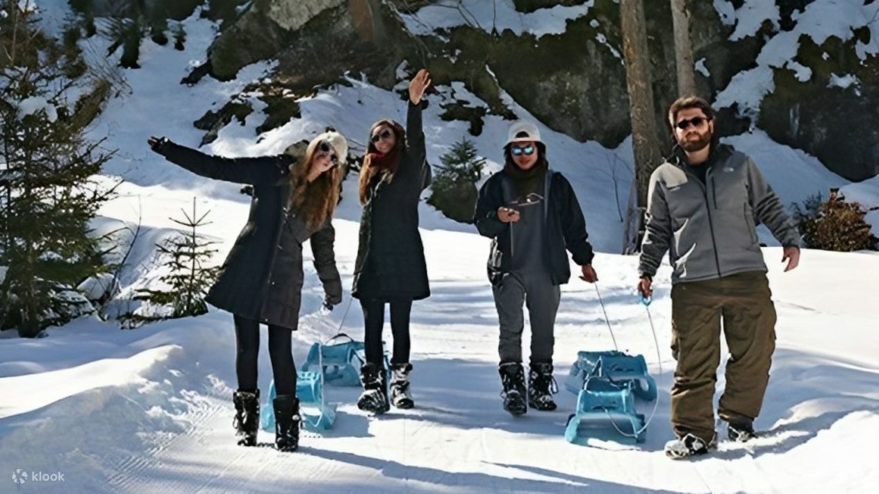 Day Sledding Experience from Interlaken - Klook Australia