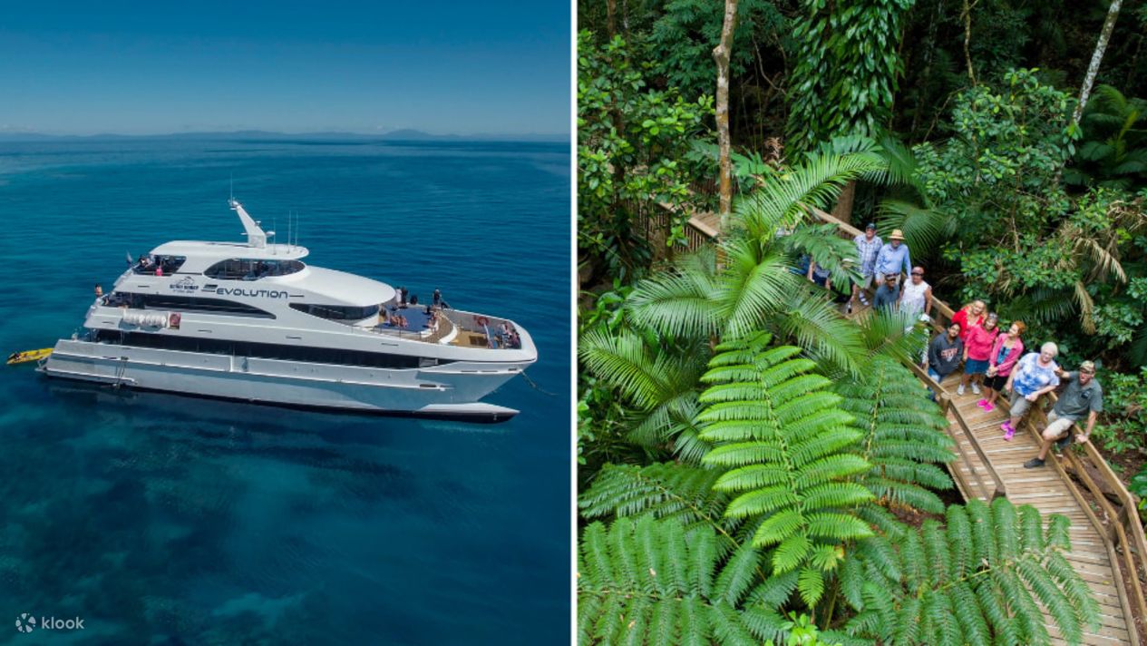 2 Day Combo: Great Barrier Reef and Daintree Rainforest - Klook