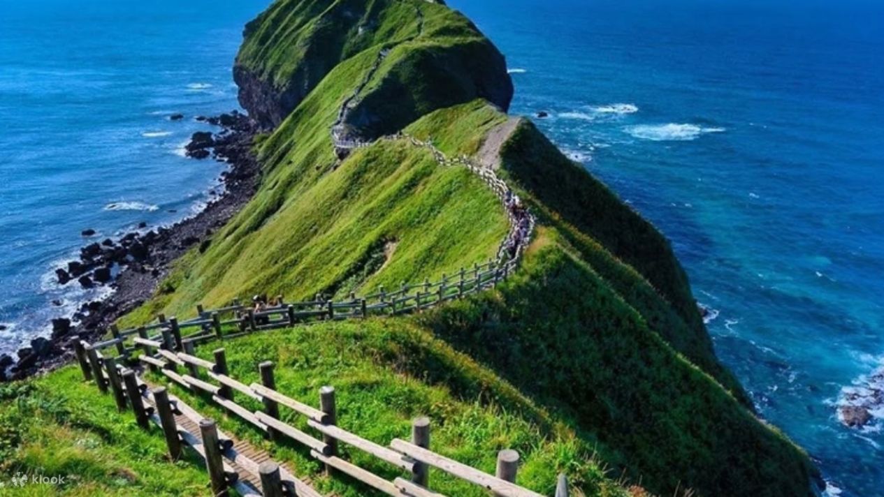 Hokkaido Secret Tour Cape Kamui One-Day Tour | Cape Kamui & Shimabui ...