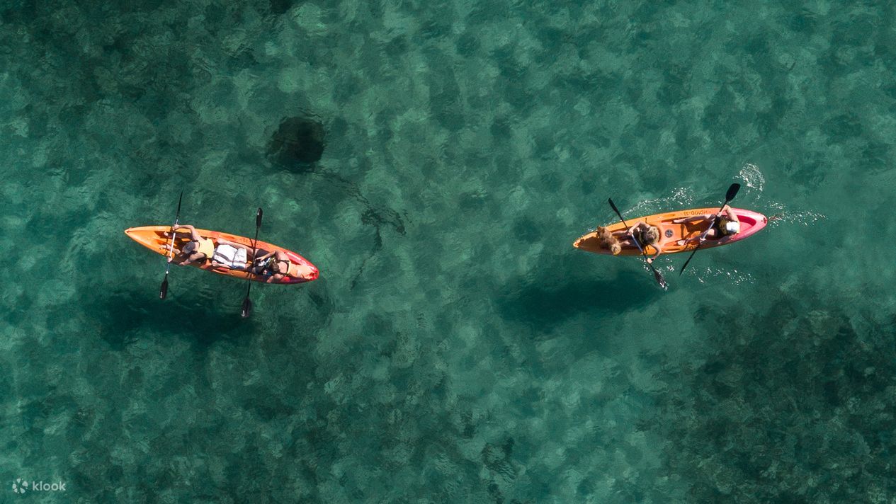 Mini Kayak Tour from Manly - Klook