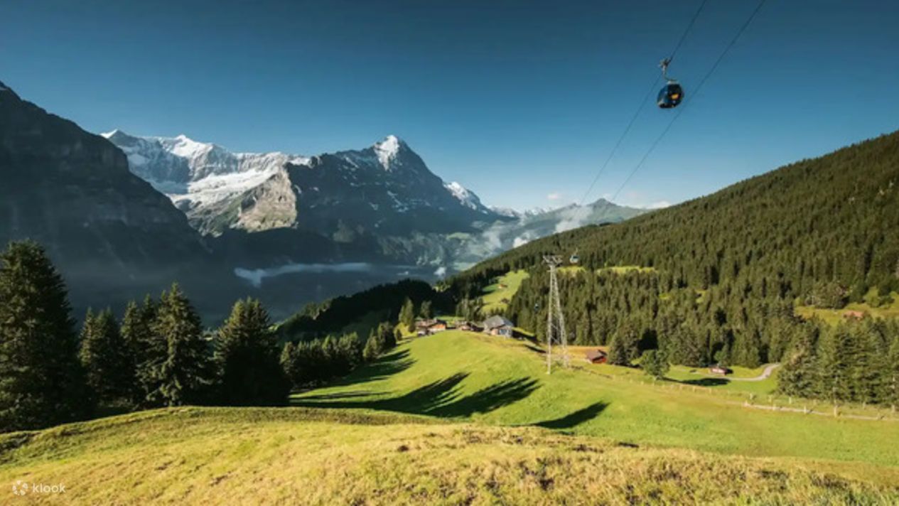 Private Guided Adventure to Grindelwald First from Zurich - Klook États ...