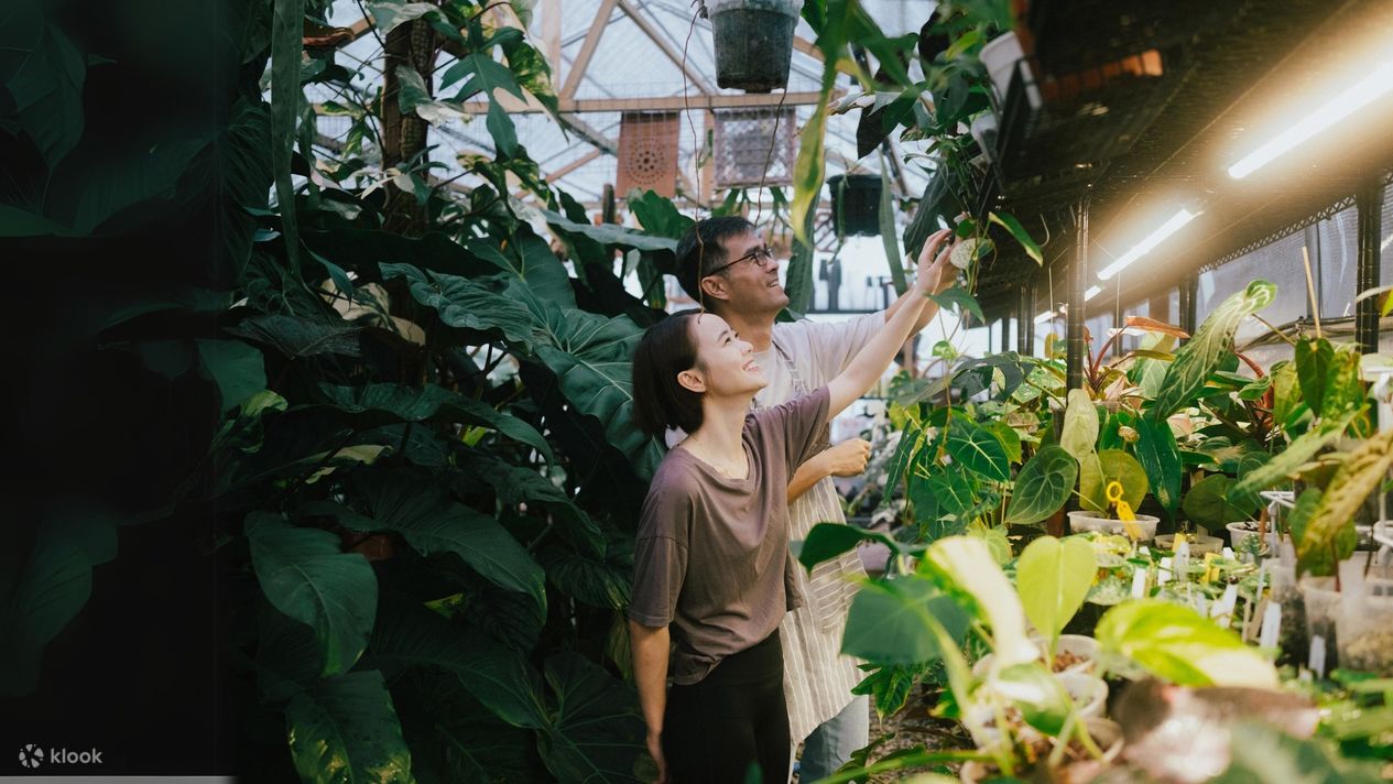 Eco Oasis @ Stevens Sustainability Flea Market - Klook Philippines