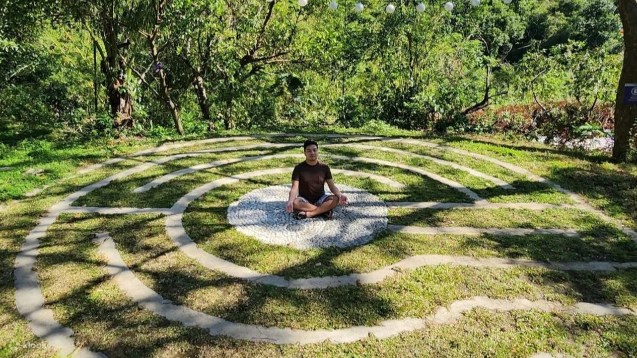 Forest Bathing Experience in Batangas by Shanti Wellness Sanctuary ...