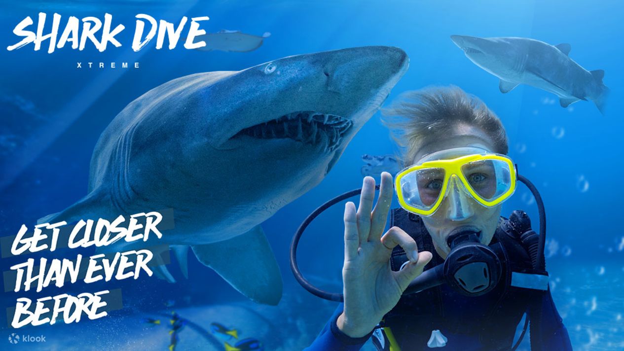 SEA LIFE Aquarium Shark Dive Xtreme Experience in Sunshine Coast ...