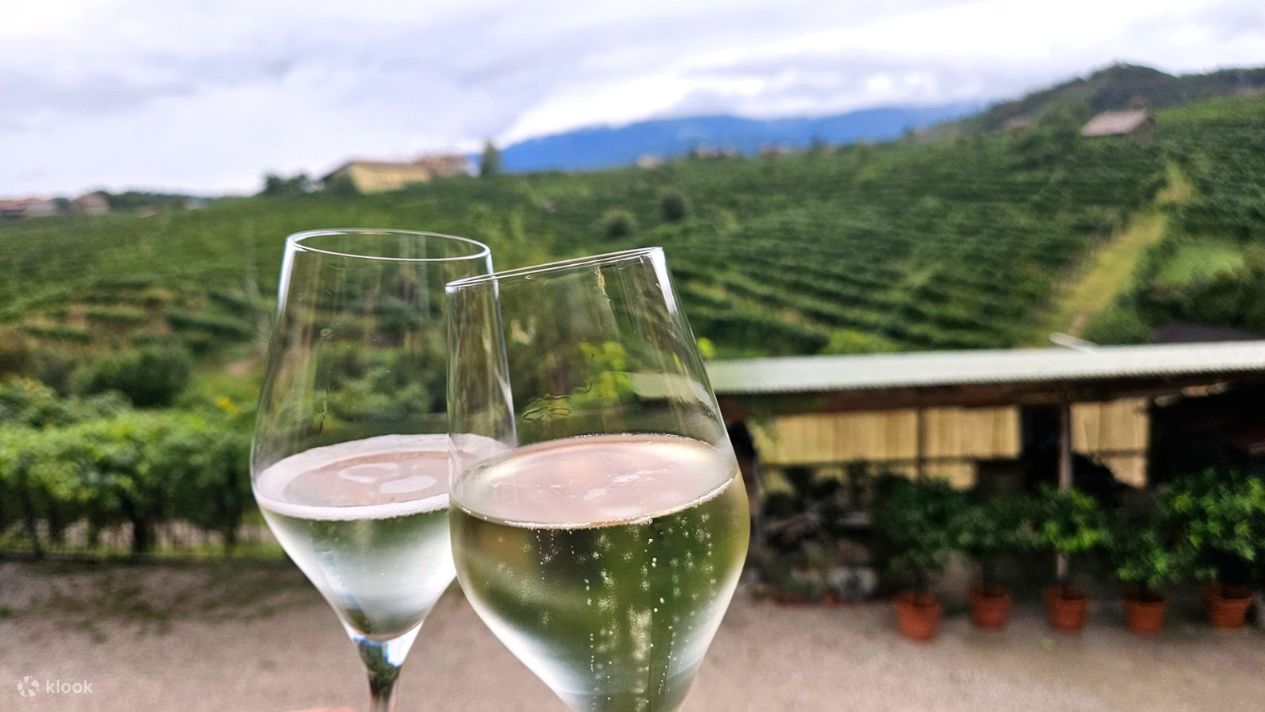 Tour du lịch trọn ngày Prosecco với thử rượu vang và ăn trưa từ Venice ...