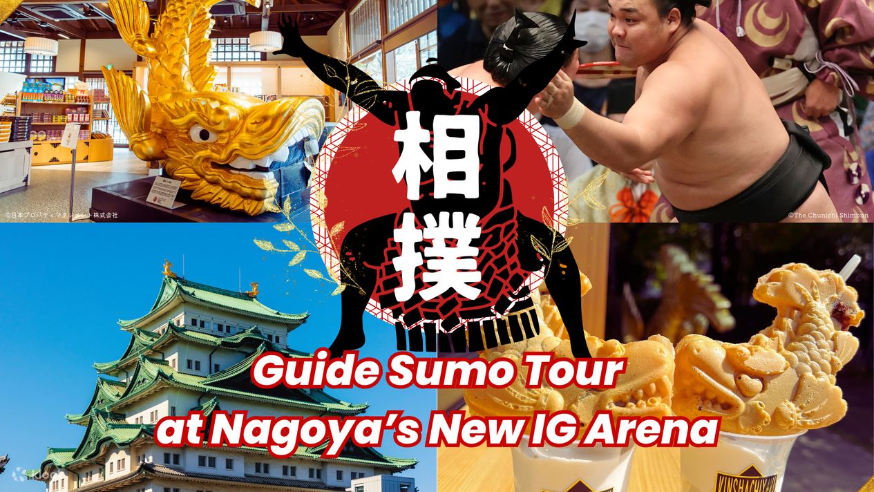 1-Day Sumo Tournament Guide Tour in Nagoya - Klook Estados Unidos