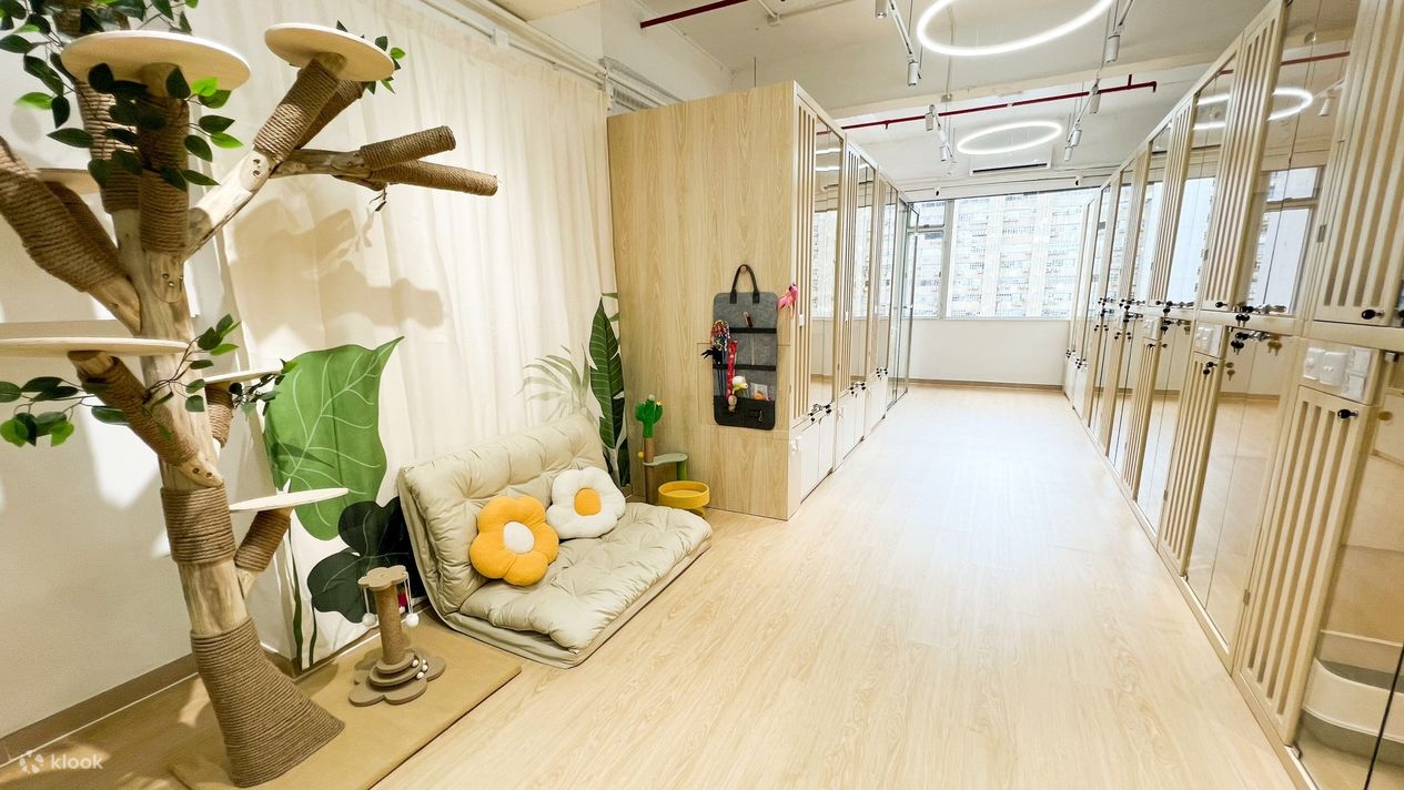 Catwalk Hotel - Cat Hotel in Hong Kong - Klook United States