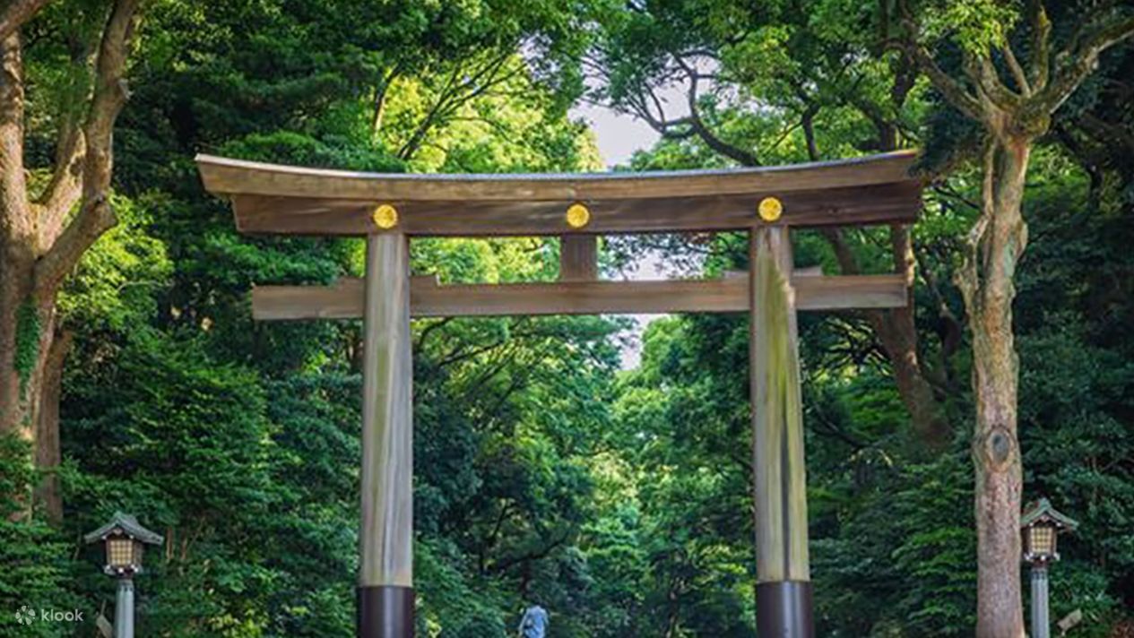 Meiji Shrine, Sensoji, and Shibamata Join In Day Bus Tour - Klook Hong Kong