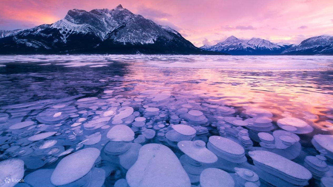 Abraham Lake Ice Bubbles and Peyto Lake Adventure Tour in Banff - Klook ...