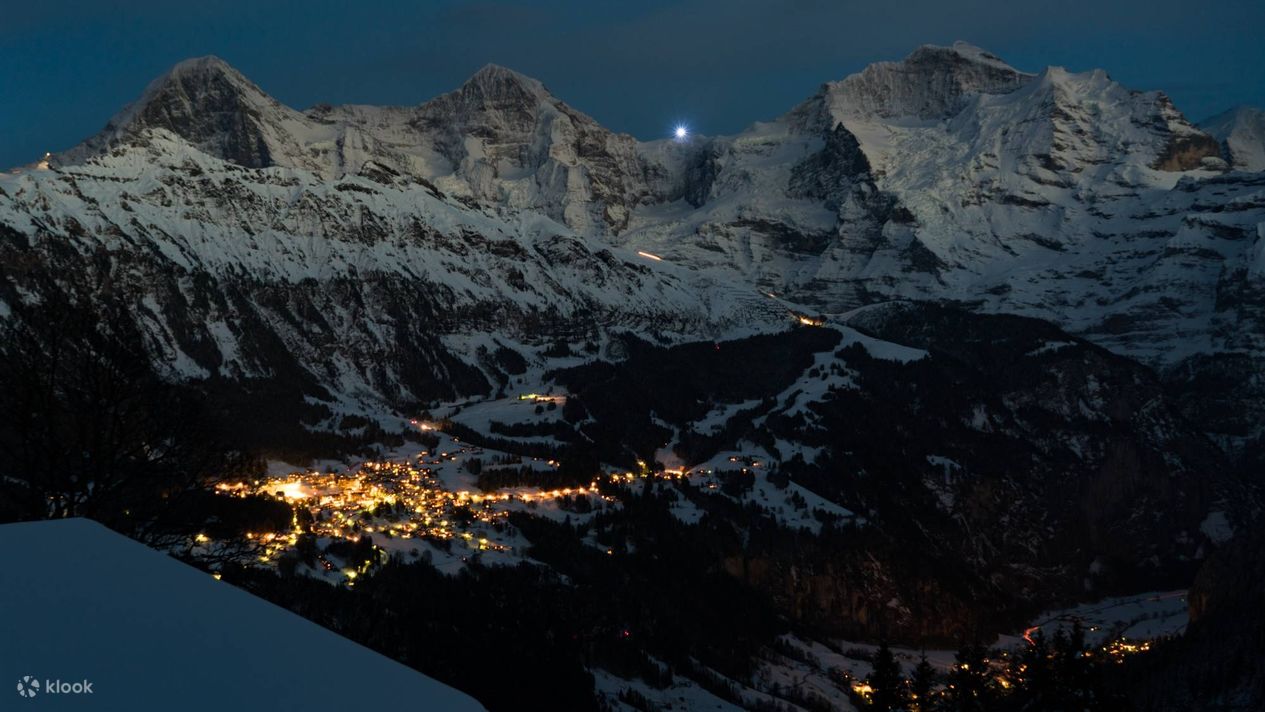 Join In Night Sledding from Interlaken - Klook