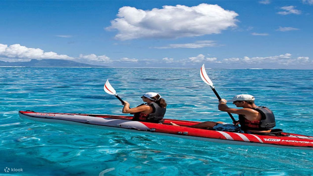 Kayaking experience in Dubai - Klook India