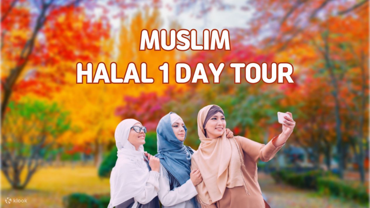 MUSLIM - Seoul City / Seoul Suburb Halal Day Tour - Klook
