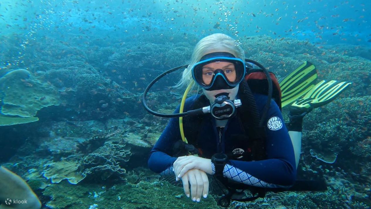Diving in Busselton Jetty and Underwater Sculptures Dive - Klook ...