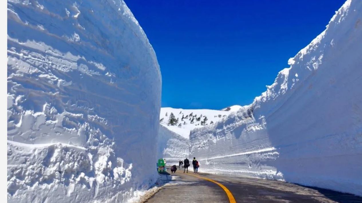 Miyagi Join In One Day Bus Tour With Zao Snow Wall Sakura Klook miyagi-join-in-one-day-bus-tour-with-zao-snow-wall-sakura-klook