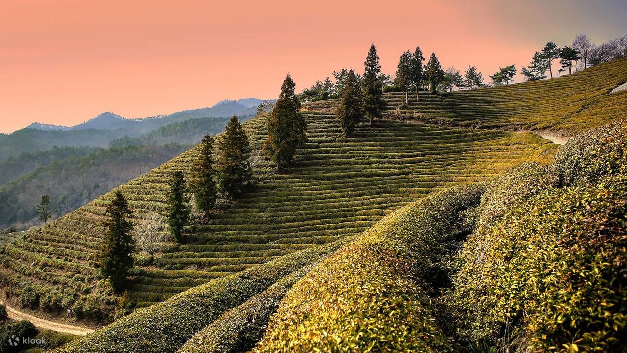 Discover Korea Tour from Seoul - Klook United States