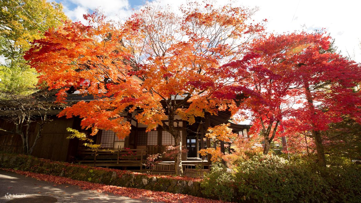 Half-Day Walking Tour: Takayama’s Hidden Gems & Temple Walk - Klook