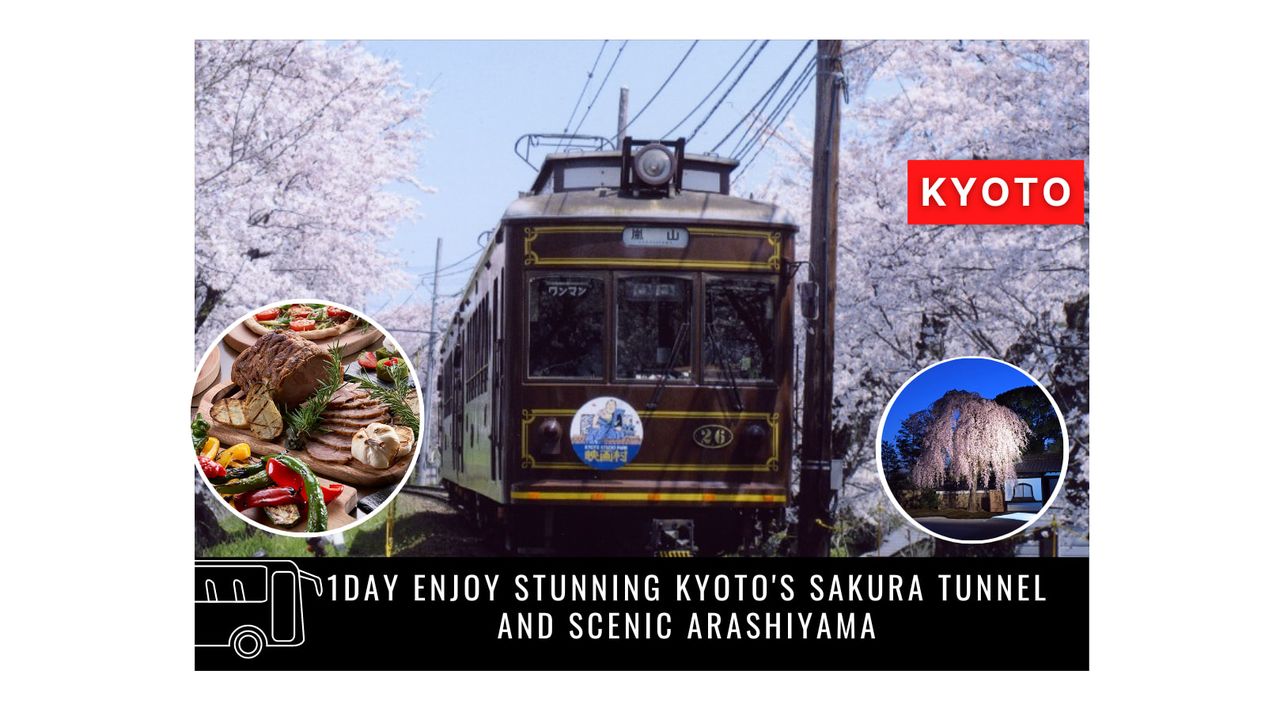 Arashiyama and Kodaiji One Day Bus Tour with Sakura Viewing from Osaka ...