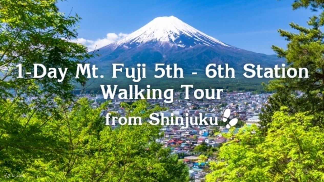 1-Day Mt. Fuji 5th - 6th Station Walking Tour From Tokyo - Klook