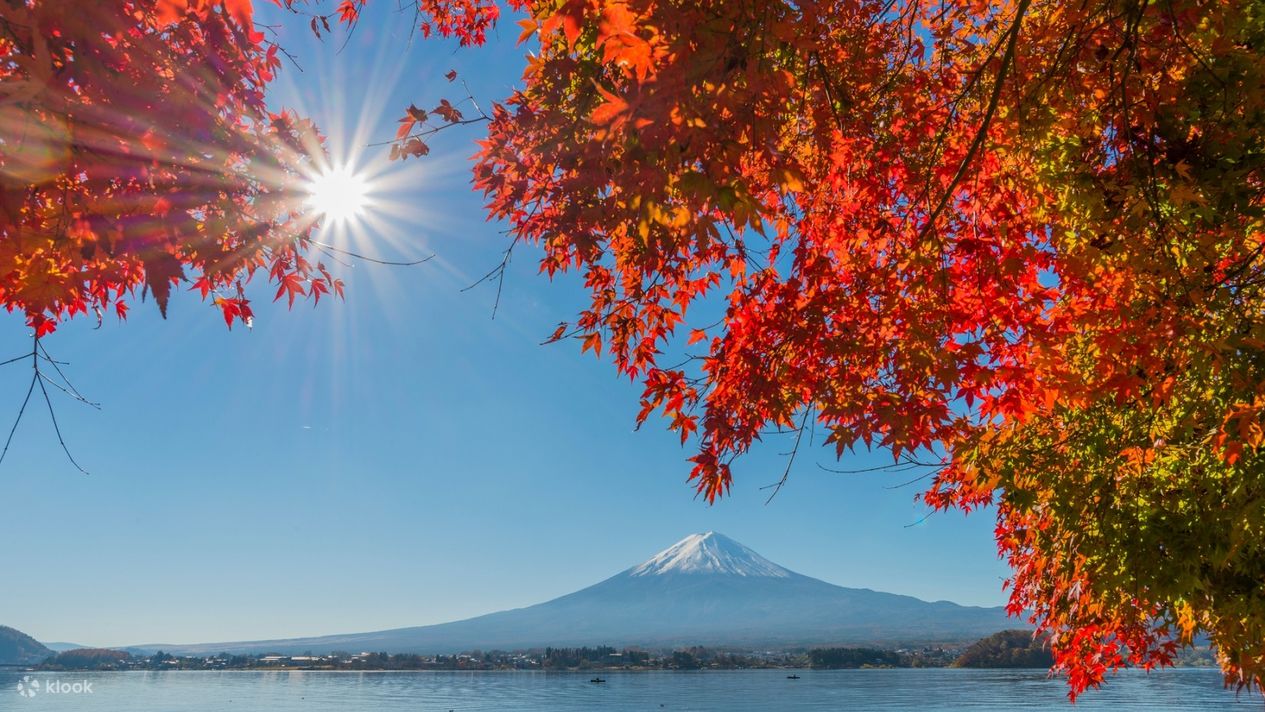 [Fuji Fruit Picking Day Trip to Mount Fuji] Arakurayama Sengen Park ...
