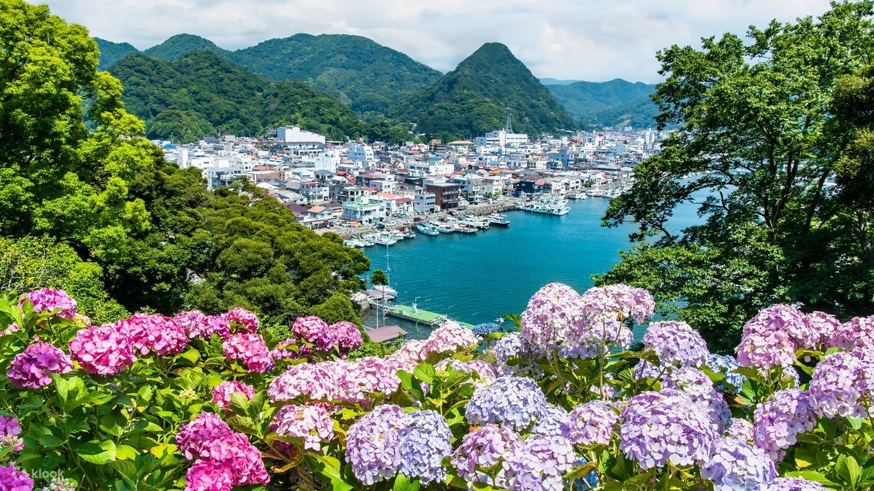 Shimoda Park Hydrangea Festival, Mishima Skywalk, Mt. Omuro Ropeway ...